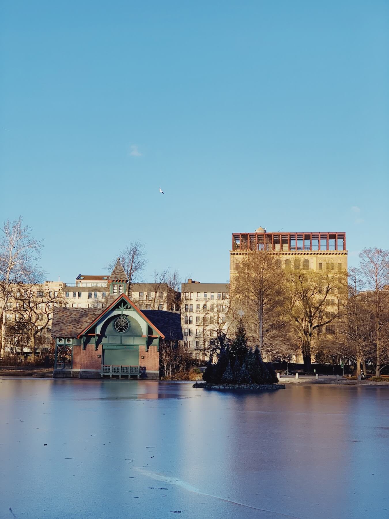 The Harlem Meer - Matthias Maier